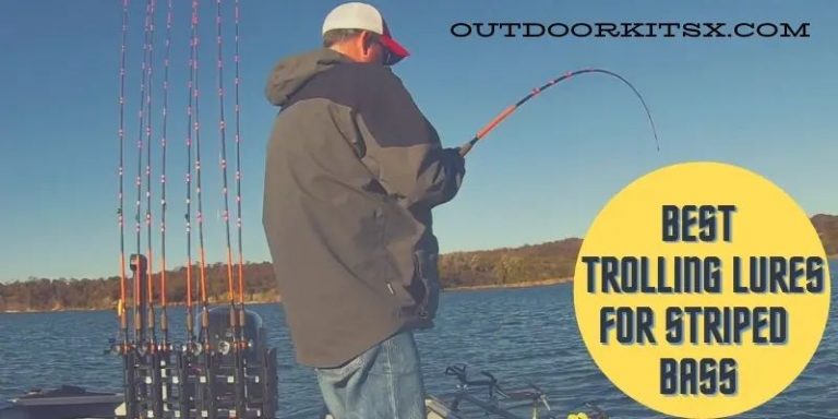 5 Best Trolling Lures For Striped Bass To Acquire Proper Fishing ...