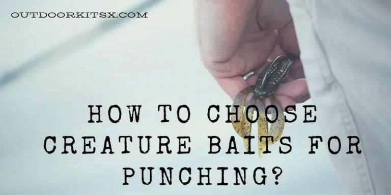 7 Best Punching Baits For Big Bass | Fish The Bigger Catch – Outdoor Kits X
